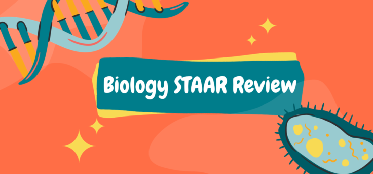 Professional Development for Science Teachers | ESC Region 13